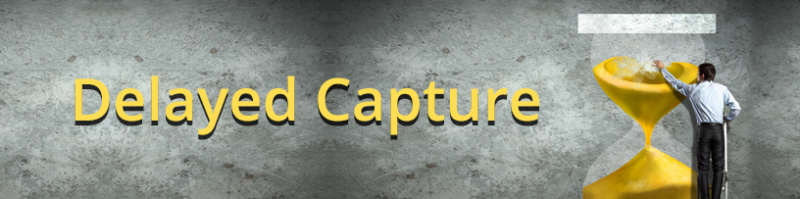 Should Your Business Use Delayed Capture for Payments? Should Your Business Use Delayed Capture for Payments?