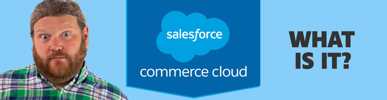 Salesforce Commerce Cloud: Your B2B2C Solution - Chargent by AppFrontier
